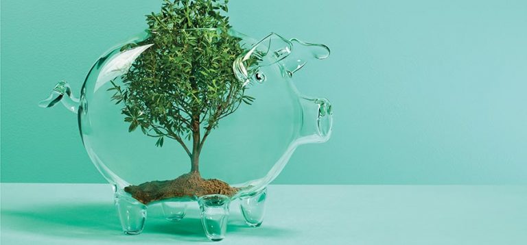 How to Increase Profits While Making Your Business More Environmentally ...